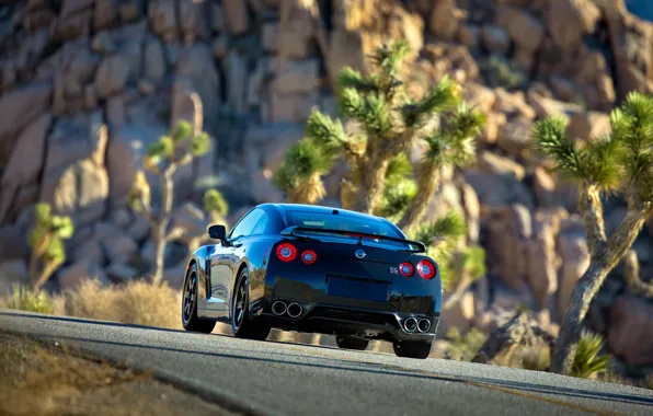 Обои Nissan, GT-R, R35, rear view, Nissan GT-R Track Edition на телефон ...
