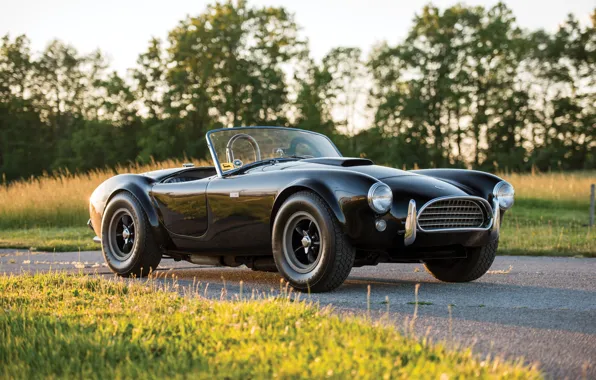 Обои Shelby, Cobra, legend, retro car, vintage car, Shelby Cobra 289 на ...