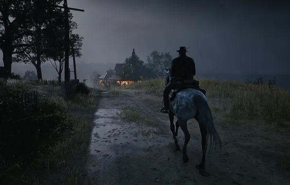 Обои HDR, House, Light, Storm, Night, Rain, Game, Trees, John Marston ...