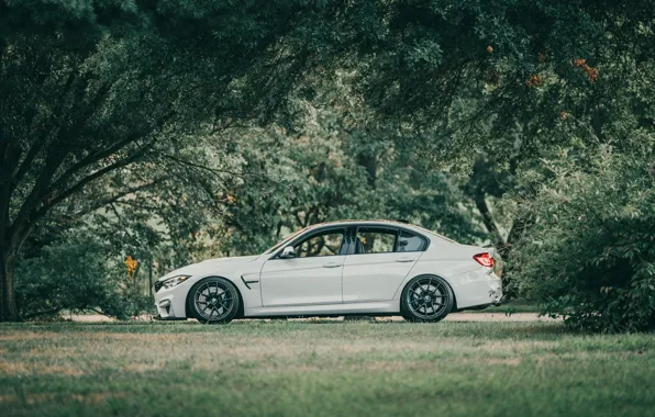 Скачать обои bmw, trees, park, f80, раздел bmw в разрешении 3840x1080