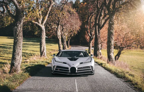 Скачать обои Bugatti, trees, front, hypercar, Centodieci, Bugatti ...