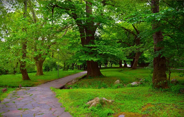 Обои Природа, Парк, Аллея, Nature, Дорожка, Park, Path на телефон и ...