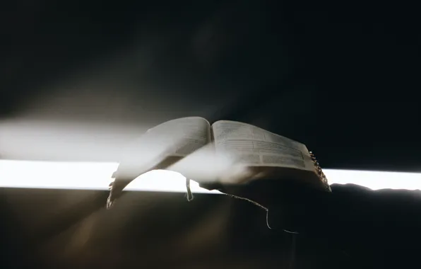 Скачать обои Love, Christian, God, Bible, Jesus, Shade, Holy Bible ...