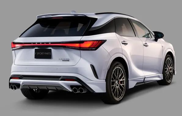 Обои Lexus, вид сзади, F Sport Parts, Lexus RX 500lh на телефон и ...