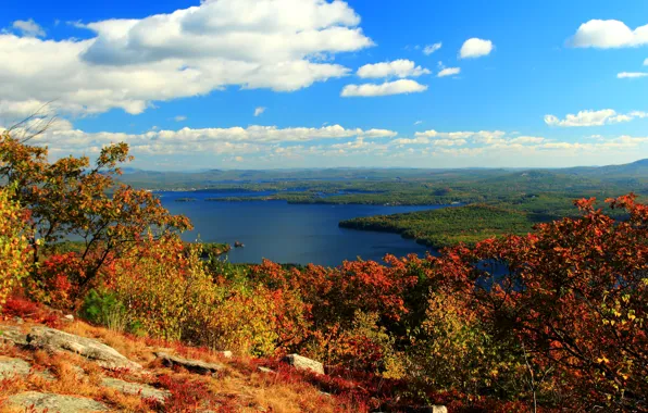 Обои на телефон и рабочий стол - страница 30