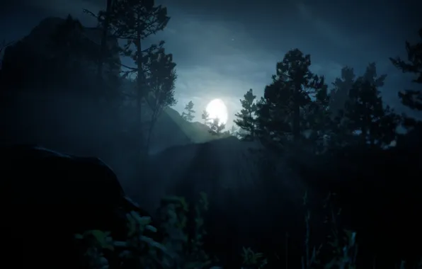 Обои Moon, sky, trees, nature, night, clouds, moonlight, mist картинки ...