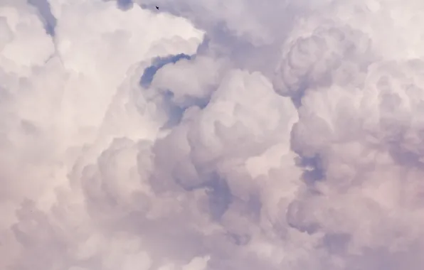 Скачать обои небо, облака, птица, nature, bird, clouds, раздел природа в разрешении 1920x1080