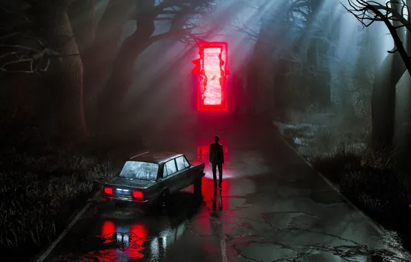 Обои Авто, Дорога, Ночь, Деревья, Человек, Лес, Машина, Свет, Дверь ...