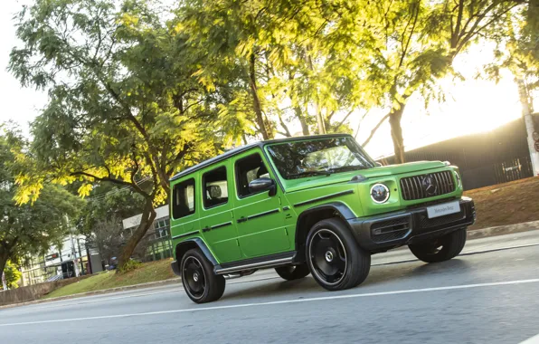 Скачать обои car, Mercedes-Benz, Mercedes, trees, AMG, drive, G-Class ...