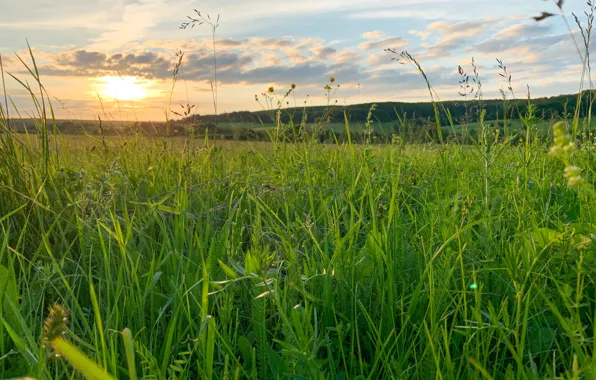 Обои лето, пейзаж, закат, природа на телефон и рабочий стол, раздел ...