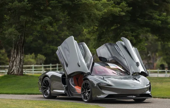 Скачать обои McLaren, butterfly doors, Speedtail, McLaren Speedtail ...