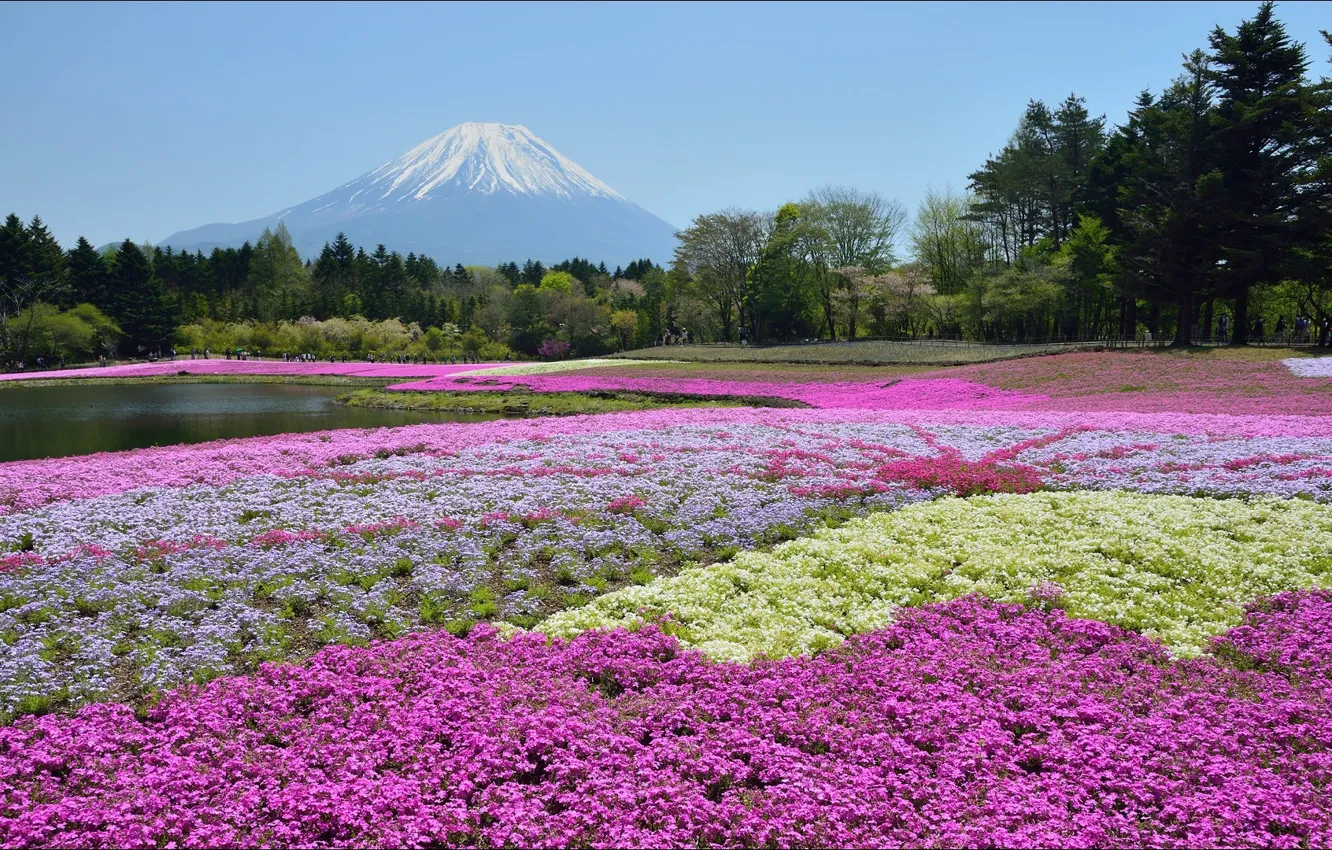 Обои Japan, Nature, landscape, beautiful, Fudji на телефон и рабочий ...