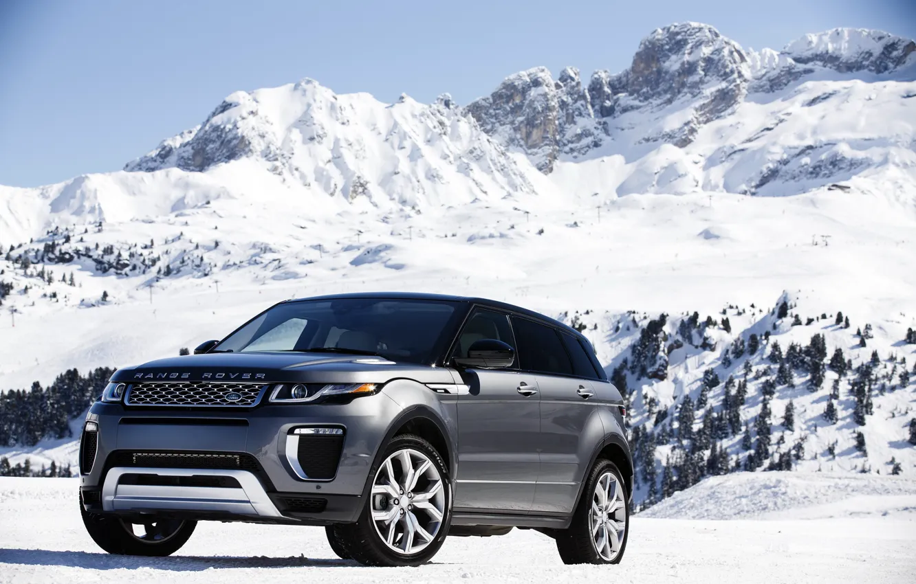 Обои car, снег, деревья, гора, склон, Land Rover, Range Rover, mountain ...