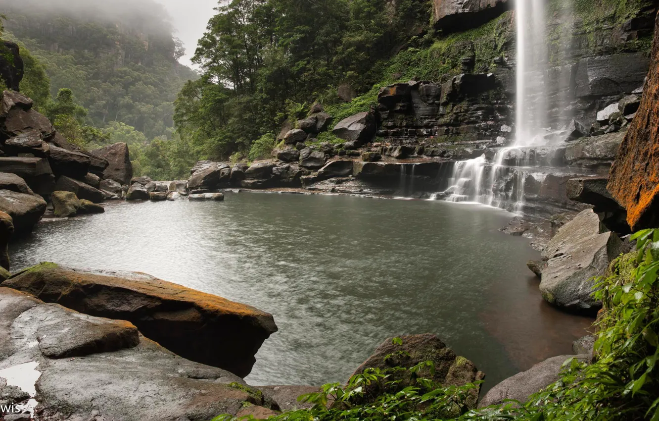 Обои лес, природа, камни, пасмурно, водопад, Belmore Falls, Wild ...