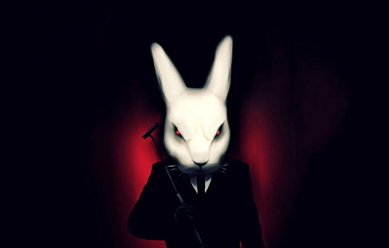 Обои Rabbit, Bunny, bad rabbit, bad bunny, mean rabbit на телефон и ...