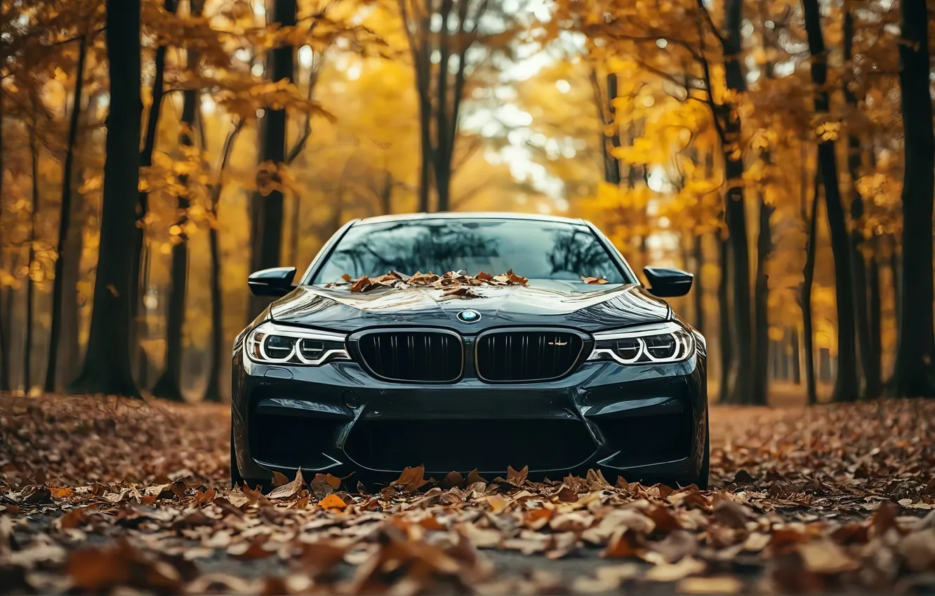 Обои BMW, forest, Front, autumn, BMW M5, AI Art, AI Generated на ...